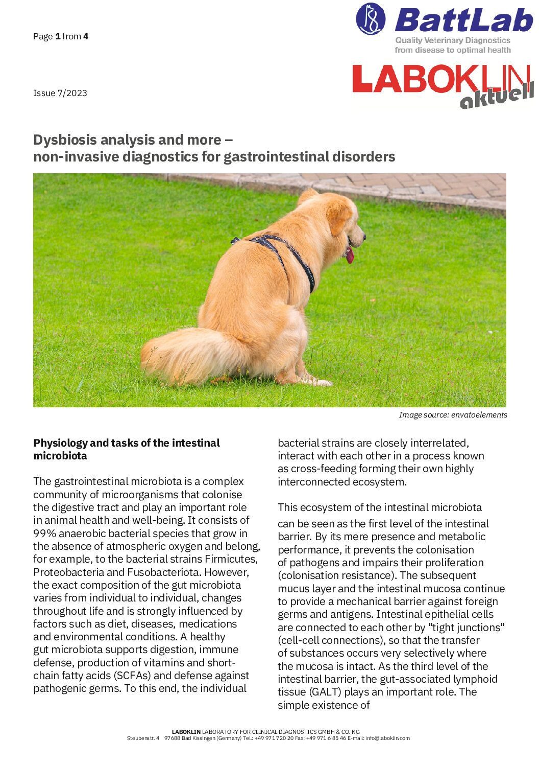 dysbiosis-analysis-and-more - Veterinary Laboratory UK | Diagnostic Services
