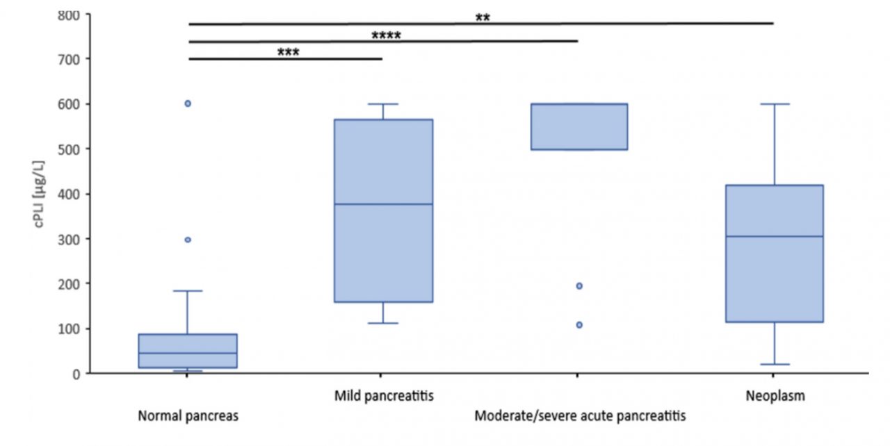 Updated cPLI LABOKLIN assay: approved! - Veterinary Laboratory UK ...